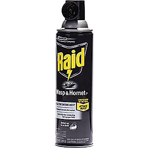 Raid Wasp and Hornet Killer (17.5 Ounce (Pack of 1))