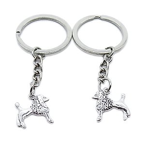 100 Pieces Keychain Keyring Door Car Key Chain Ring Tag Charms Supplies QI8Y3H Poodle Puppy Dog