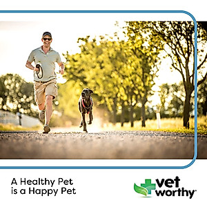 Vet Worthy Joint Support Level 2 Chewable Tablet | Supports Bone Health and Healthy Joints | Dog Supplement with Glucosamine, Chondroitin, MSM, Hyaluronic Acid | Liver Flavor 60 Count