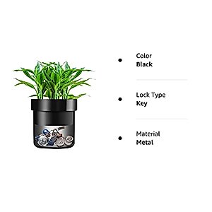 Younion Flower Pot Diversion Safe with Key Lock, Secret Hidden Safe Lock Box, Perfect for Hiding The Valuables Inside Flower Pot’s False Bottom, Plants Not Include