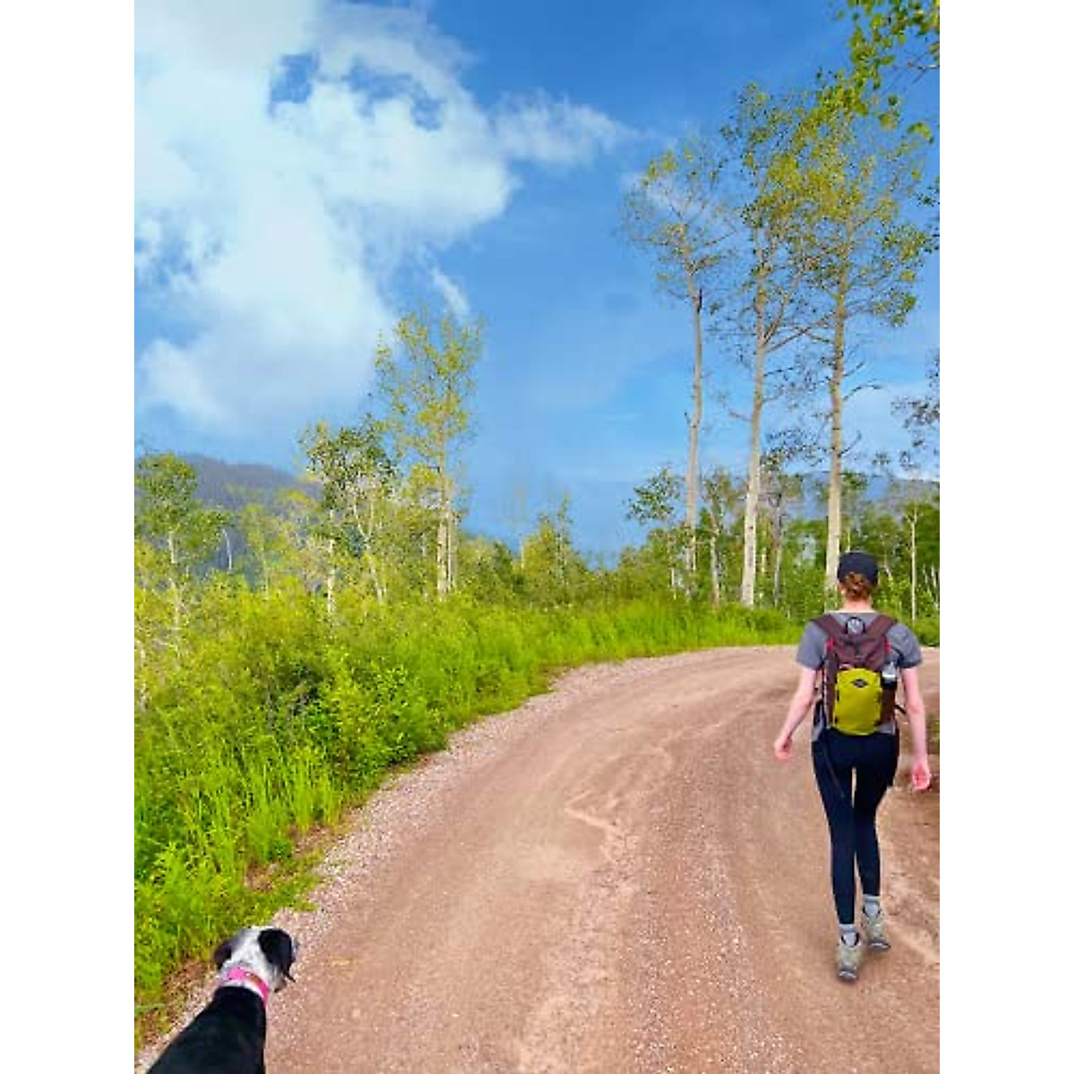 Sherpani Switch, 15L Lightweight Travel Hiking Backpack, Hydration Backpack, Backpack Purse for Women, Daypack for Women, Fits 13 Inch Laptop (Cactus)