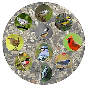 Songbird Essentials Wild Bird Food, Essential Nuts and Berries Premium Blend Bird Seed, Nuts and Fruit, 5 Pound Bag, Nitrogen Flushed