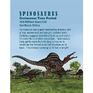 Spinosaurus Dinosaur Tooth Fossil 1.850 inch w/Info Card #17417 3o