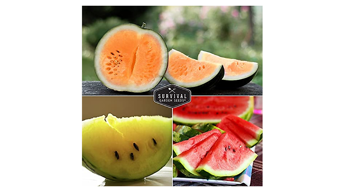 Watermelon Seed Vault - Grow Non-GMO Crimson, Yellow & Orange Watermelons
