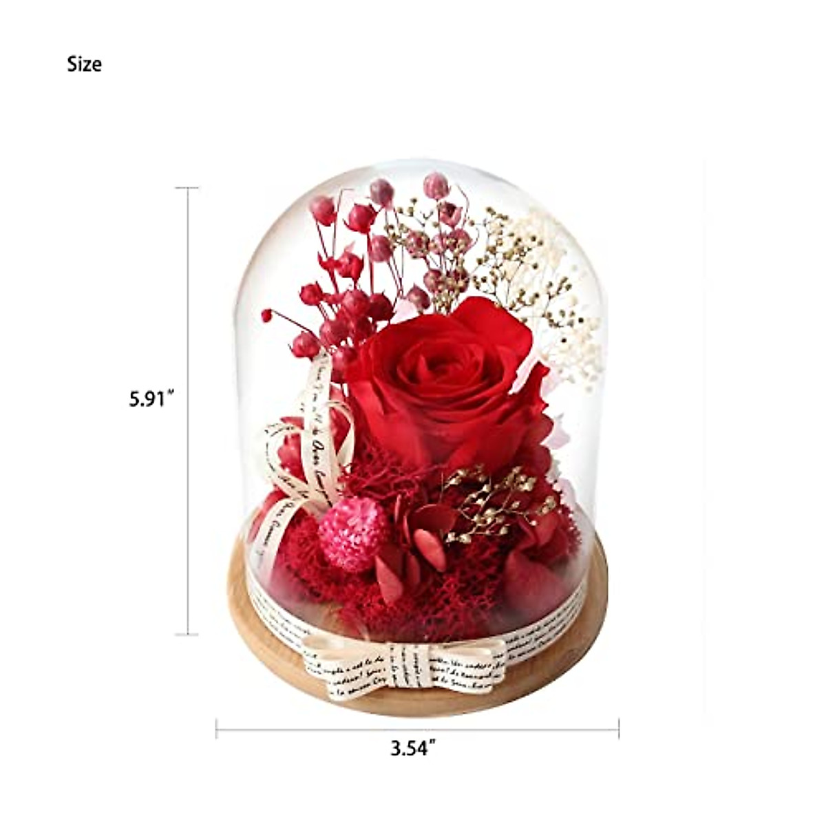 HENJADE Artificial Flower Rose Gift Decorations Beauty Rose Flowers, Rose Glass Dome, Red Forever Rose, Flower in Glass Dome, for Her Unique Gifts for Mom Valentine Christmas(Red)