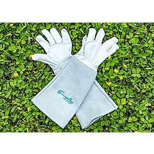 Rose Pruning Gloves for Men and Women - Thorn Proof Goatskin Leather Gardening Gloves with Gauntlet (Medium)