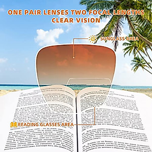 LADEESSE Bifocal Sunglasses For Women Oversized Retro Reading Sunglasses 3 Pack UV400 Sun Readers Glasses +2.0