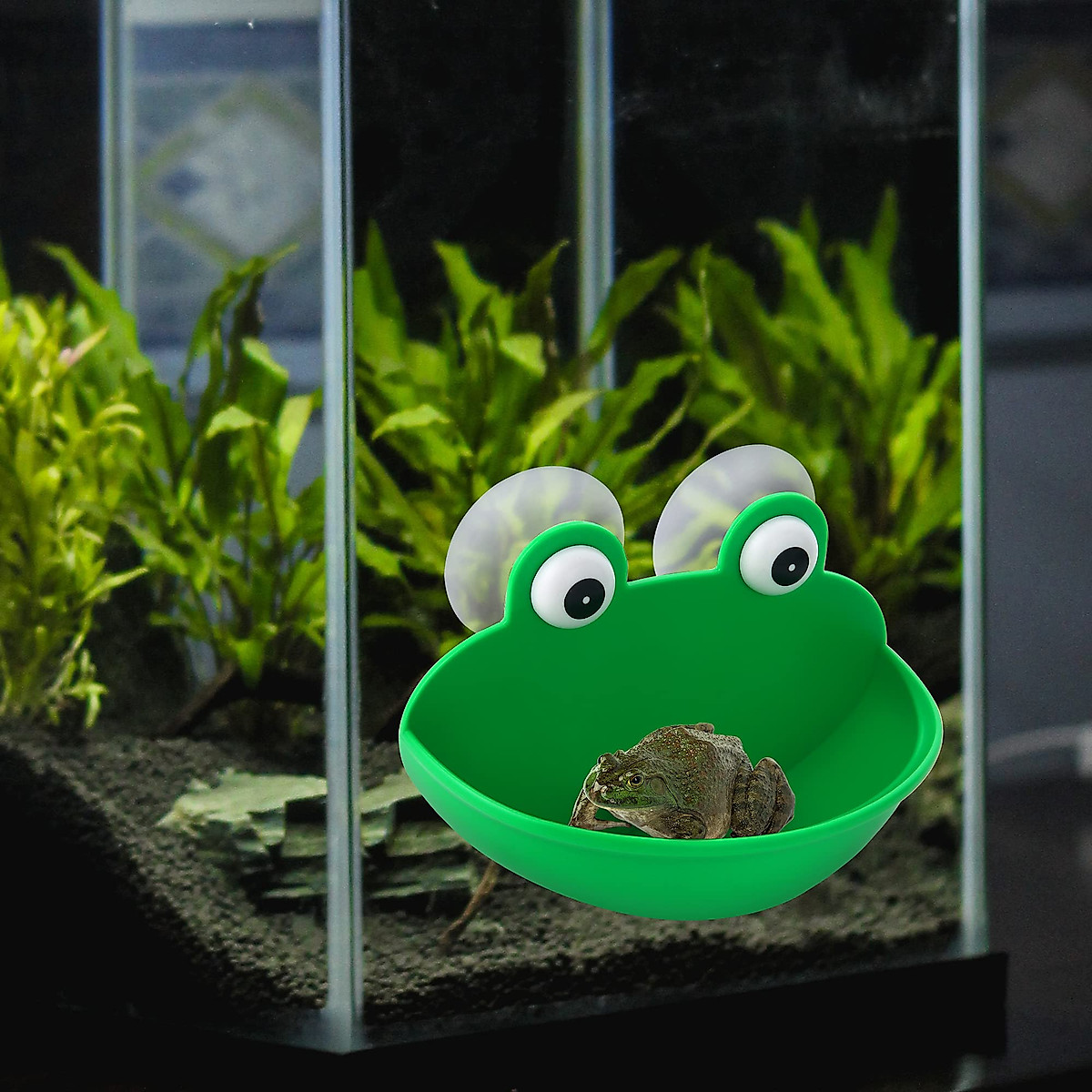 Pensino Frog Habitat Frog Dish Holder with Suction Cups, Cute Frog Terrarium Decor Fish Tank Decoration for Tree Frog Toad Tadpole (1 Pack)