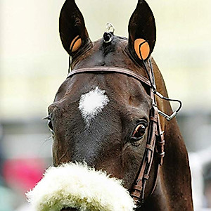 Y.J TAILS Horse Ear Plugs, Equine earplugs, Foam Ball, Block Noise, Soft and Comfortable, Reusable (Orange - 2pcs)