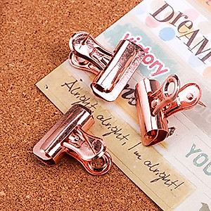 Yalis Push Pins Clips 15-Count, Pinning No Holes for Paper, Creative Paper Clips with Tack for Cork Board and Photo Wall ( Rose Gold)