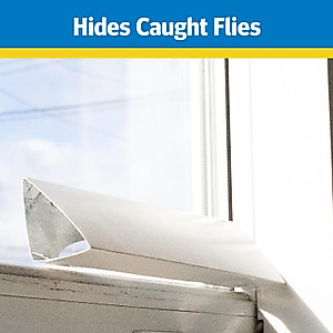 Raid, 12 Pack, Discreet Window Fly Trap