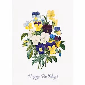 PIXILUV HAPPY BIRTHDAY Greeting card ~ Bouquet Beautiful Different Colored Pansy Flowers ~ Birthday Wishes Vintage Large Greeting Card