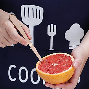 HOMQUEN Rose Gold Grapefruit Spoons 3 Pieces Set, 2 Stainless Steel Grapefruit Spoon and 1 Grapefruit Knife with Titanium Plating, Grapefruit Utensil Set, Serrated Edges Spoon Pack of 3