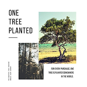 Bamboo Toothbrush 4-Pack Medium Multi-Colored Bristles Family Pack Biodegradable by Aki NEW