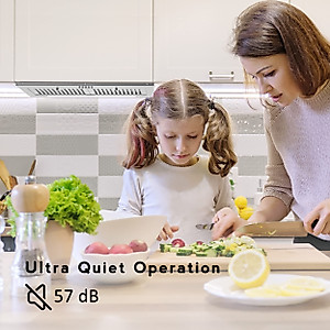 FIREGAS Range Hood Insert 30 inch, 600 CFM Ducted/Ductless Convertible Kitchen Hood with LED Light, Built-in Vent Hood with 3 Speed Exhaust Fan, Baffle Filters, Stove Hood with Carbon Filters