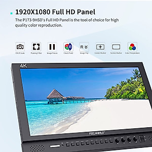 FEELWORLD P173-9HSD 17.3 Inch Design 1920x1080 Desktop Monitor for Broadcast LCD Monitoring with 3G SDI HDMI YPbPr Input Output