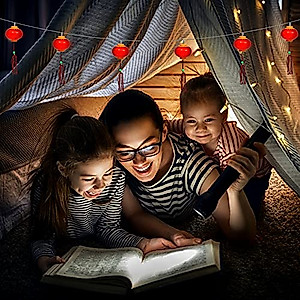 ibasenice Spring Festival Lantern String Lights LED Chinese Style Fairy Lights String Lamp Birthday Party Layout Lights Restaurant Garden Home Decor String Lights