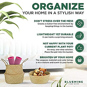 Blueming Home Decor Plant Basket – Large Seagrass Belly Basket Planter, Woven Rattan Wicker Plant Pot for Tall Indoor Plants with Handles, Round Decorative Boho Planters (Original, 10-11 Inch)