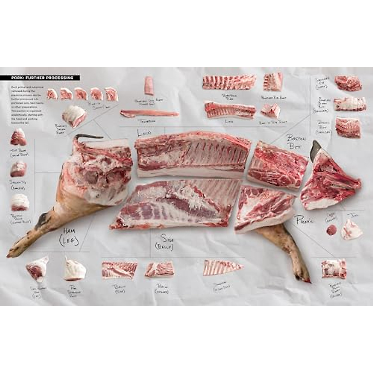 Butchering Poultry, Rabbit, Lamb, Goat, and Pork: The Comprehensive Photographic Guide to Humane Slaughtering and Butchering