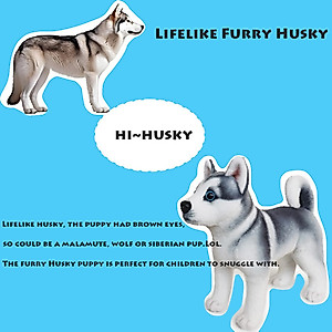 ELAINREN Lifelike Furry Husky Stuffed Animals Puppy Toy Realistic Huskies Chubby Anime Pillow Super Soft Siberian Husky Toy Plush Cute Pup Dolls Gifts,11.8Inch