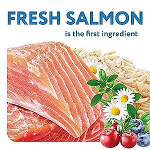 OPtimeal Skin & Sensitive Stomach Cat Food - Proudly Ukrainian - Healthy Cat Food Dry Recipe for Skin & Digestive Support, Tasty Dry Cat Food for Pets (3.3 lbs, Salmon & Brown Rice)