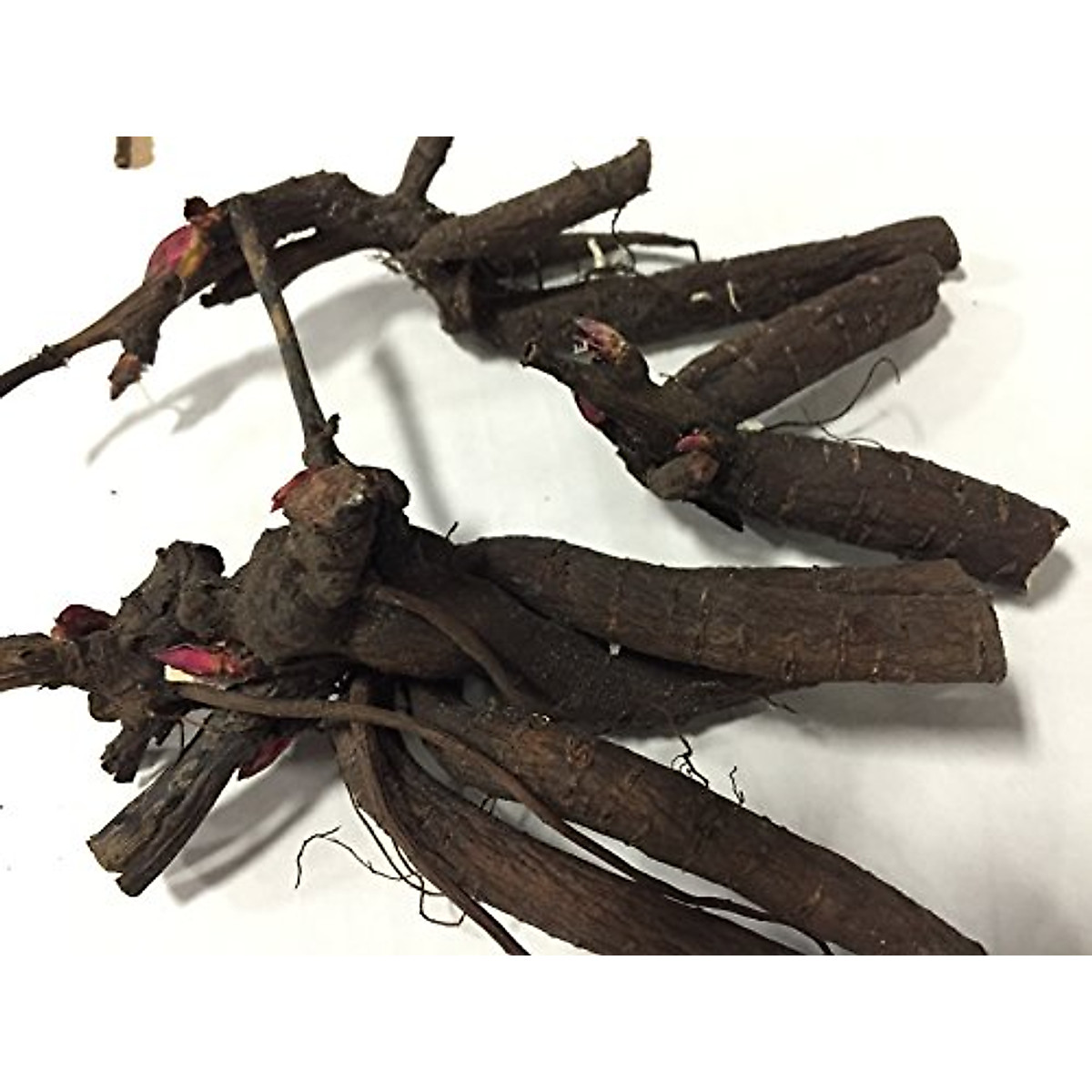 Sarah Bernhardt Garden Peony - Pink Paeonia (3 Roots)