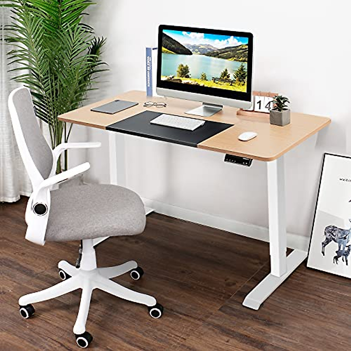 ERGOMASTER Electric Adjustable Standing Desk Home Office sit Stand Motor Height Adjustable Computer desks Table with Splice Tabletop for Working Gaming 55 x 28 inch