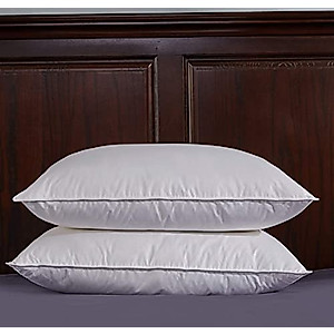 puredown Natural White Goose Feather Egyptian Cotton Cover 500 Fill Power Set of 2 Bed Pillows, Standard, 2 Count