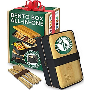 Umami Bento Box Adult Lunch Box Microwave Safe, Easy to Clean, 40 oz Large, All-in-One Meal Prep Compartment Lunch Box Containers, Cute Leak Proof Bento Box, Lunch Organizer