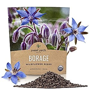 Sweet Yards Seed Co. Borage Seeds – Extra Large Packet – Over 1,200 Open Pollinated Non-GMO Wildflower Seeds – Borago officianalis