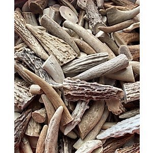 Deer Valley Dog Chews Deer Antlers (8oz Craft Kit) - Design Breathtaking Jewelry & Unleash Your Creativity with Premium Quality Antler Pieces for Stunning DIY Earrings, Necklaces, Bracelets and More