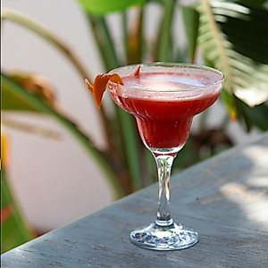 GRACE ERA Margarita Glasses Set Cocktail Glasses for Bar, Frozen Margaritas, Martini, Mixing Cocktails, Gin and Tonic glasses, Set of 2-10oz (Set of 2)