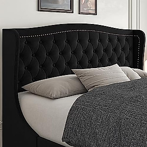 HOSTACK Modern Upholstered Platform King Bed Frame, Black, Velvet Fabric