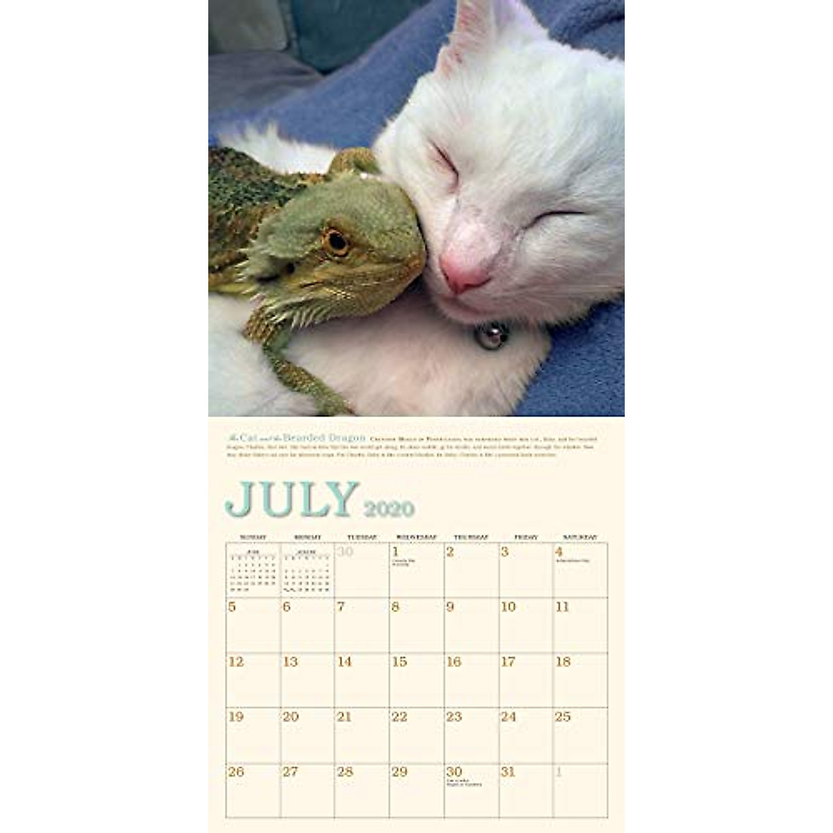 Unlikely Friendships Wall Calendar 2020