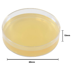 Tryptic Soy Agar (TSA), Small 15x60mm Plate, Order by The Package of 10, by Hardy Diagnostics