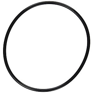 Pentair 357255 #357 Lid O-Ring Replacement Pool and Spa Inground Pump