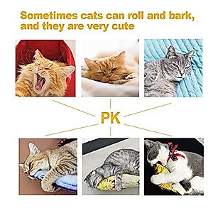 MR-BABULA Premium Natural Catnip, Selected Fresh Catnip Leaves & Bud (3OZ)