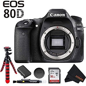 Canon EOS 80D DSLR Camera Body+ Sunshine Basic Bundle