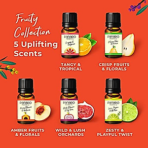 Panaro Fruity Premium Fragrance Oils (Set of 5x10ml) - Get Well Soon Gifts- Sweet, Joyful & Fragrant