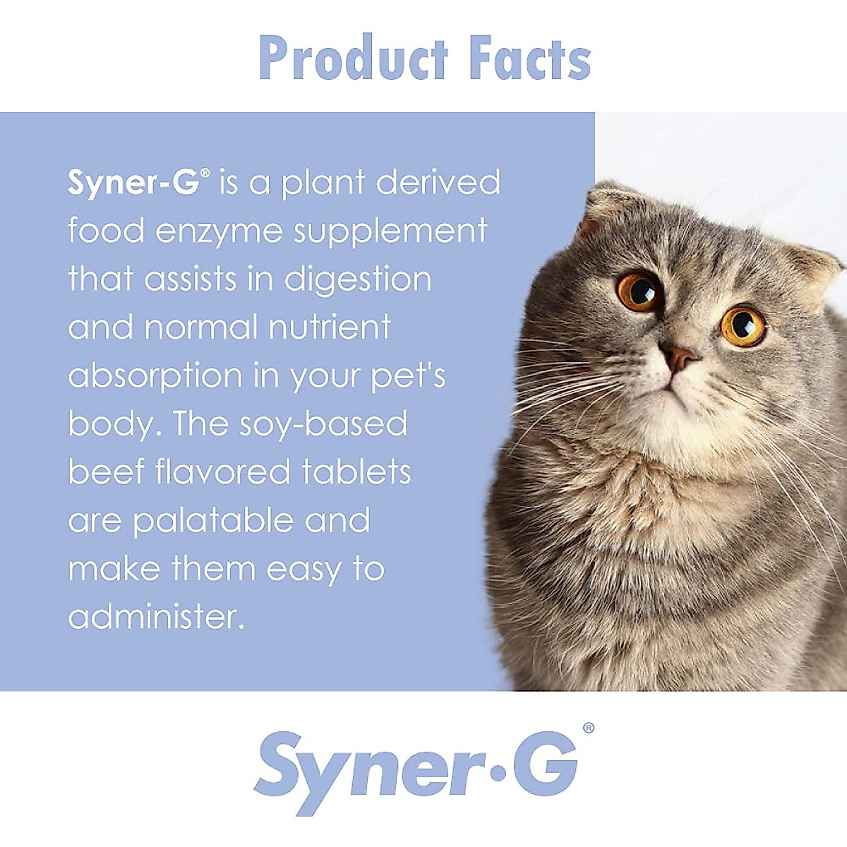 PHS Syner-G Digestive Enzymes Supplement for Dogs and Cats - Enzymes Alpha-Amylase, Lipase, Cellulase, and Protease - Digestion Support, Absorption of Nutrients, Skin Health - Made in USA - 454 grams