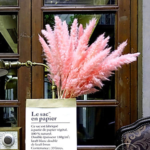 XHXSTORE 30pcs Dried Pink Pampas Grass 17" Natural Small Pompous Grass Fluffy Reed Grass for Home Wedding Party Boho Table Ceterpieces Decor