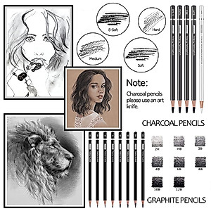 PANDAFLY Drawing Sketching Pencil Set, 22 Piece Pro Art Pencil Kit - Graphite Pencils (12B-2H), Black and White Charcoal Pencils, Charcoal Sticks, Stumps, Eraser, Sharpeners