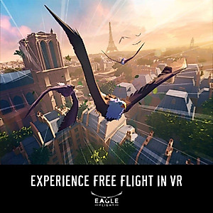 Eagle Flight - PlayStation VR
