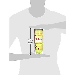 Wilson Championship Extra Duty Tennis Ball – 4 Pack | Pressurized Balls with Seal Design | Highly Elastic, Ideal for Training & Matches - Yellow
