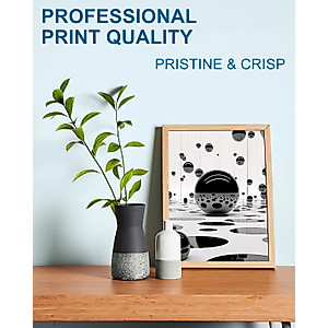 LEMERO 245XL 246XL Remanufactured Ink Cartridge Replacement for Canon 245 246 243 244XL Combo Pack for Pixma MG2522 MX490 MX492 TS3322 TR4520 MG2922 TR4522 TS3122 TS202 Printer (1 Black, 1 Color)