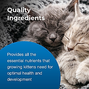 Pet-Ag KMR Kitten Milk Replacer Powder - 12 oz - Powdered Kitten Formula with Prebiotics, Probiotics & Vitamins for Kittens Newborn to Six Weeks Old - Easy to Digest