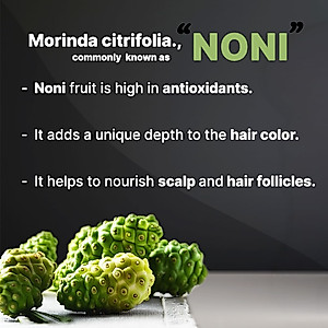 BSY Black Hair Magic Color Shampoo (12ml x 12 Sachets) | Ammonia-Free Permanent Noni Fruit Hair Dye for Men and Women | Natural 5-Minute Hair Color