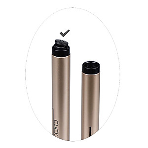 Retractable Automatic Lid Professional Lip Brush 1pc (Champagne Gold)