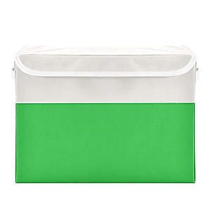 DOMIKING Rustic Neon Green Large Storage Bin with Lid Collapsible Shelf Baskets Box with Handles Closet Organizer for Bedroom Living Room Kid's Room