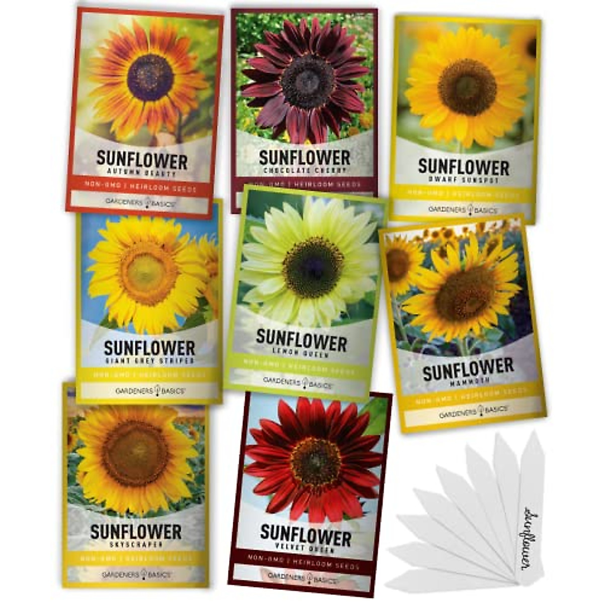 Sunflower Seeds for Planting Flowers (8 Pack) - Velvet Queen, Skyscraper, Lemon Queen, Giant , Autumn Beauty, Chocolate Cherry, Dwarf Sunspot and Mammoth Bulk Outdoor Flower Garden by Gardners Basics